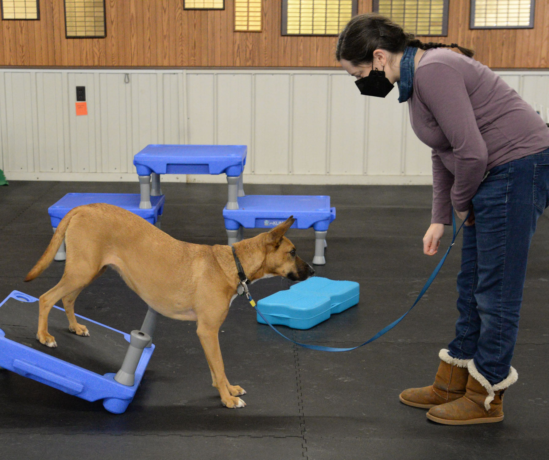 Winnegamie Dog Club